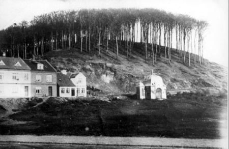 Abelones Eng - VejleWiki